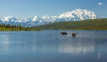 Denali National Park Backpacking - Things You Must Know