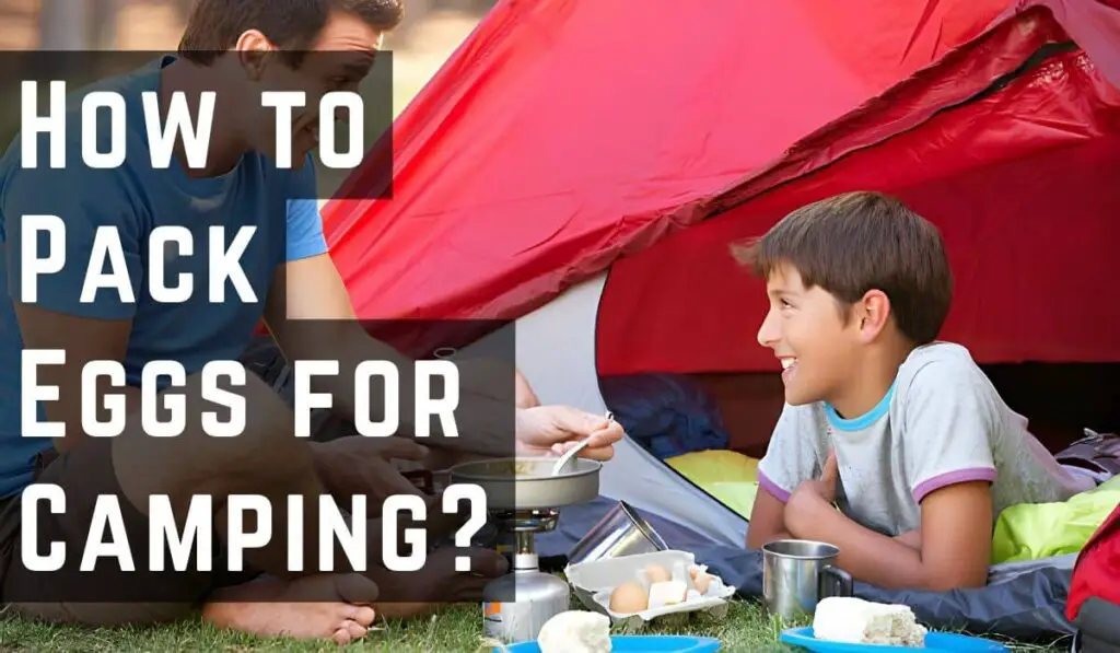How to Pack Eggs for Camping Like a Pro - Facts Unveiled