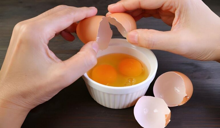 How to Pack Eggs for Camping Like a Pro - Facts Unveiled