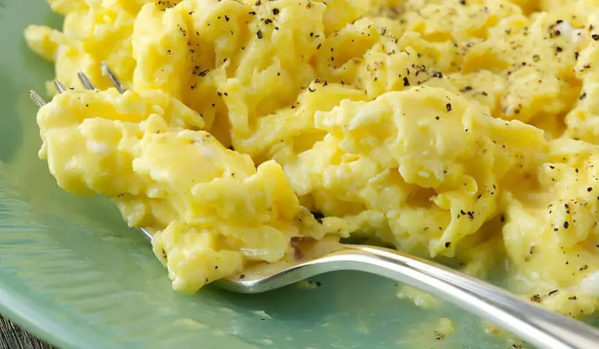 How to Pack Eggs for Camping Like a Pro - Facts Unveiled
