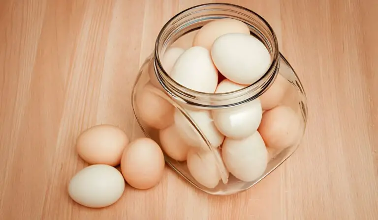 How to Pack Eggs for Camping Like a Pro - Facts Unveiled