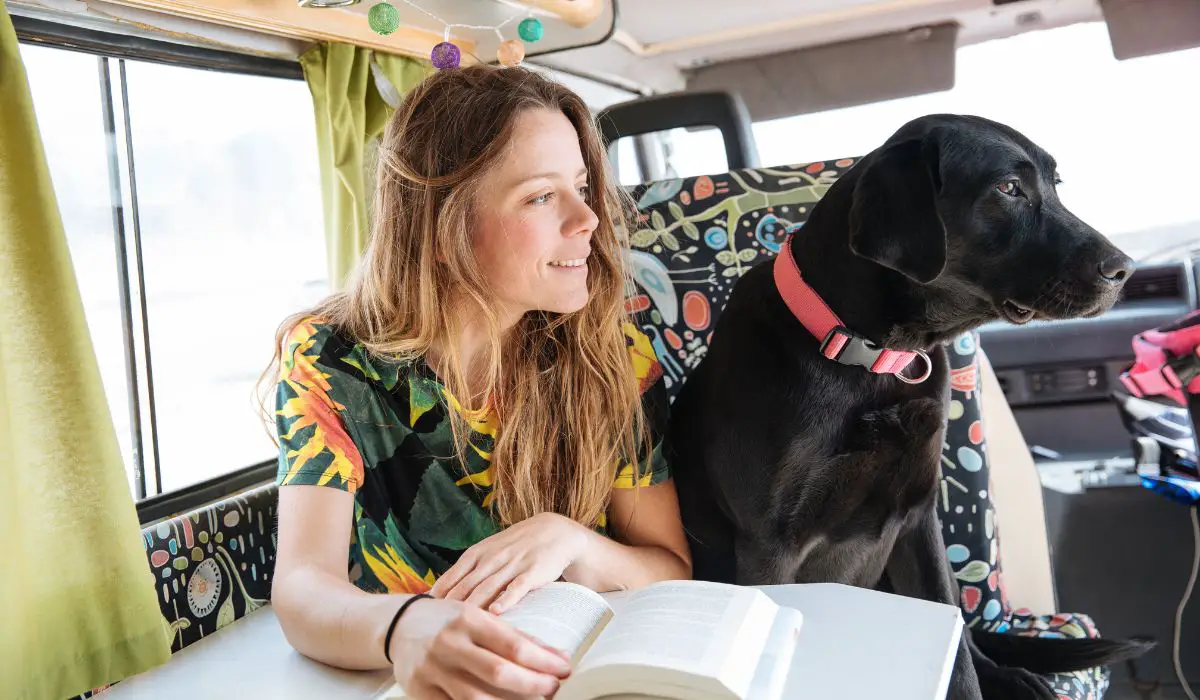 25 Must-Have Road Trip Essentials for a Comfortable and Safe Adventure ...